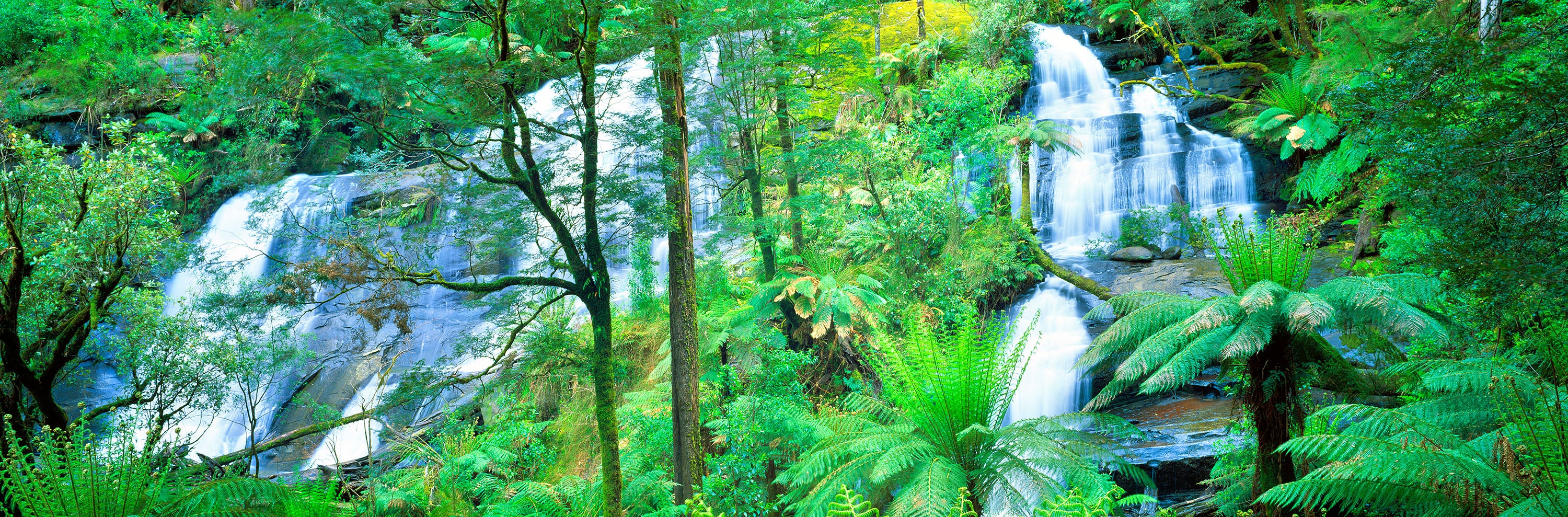 Reviving Waters, Great Otway National Park, Victoria – Chris Munn Gallery